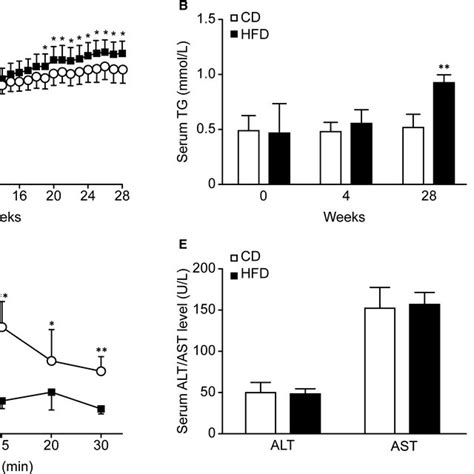 Effect Of Hfd On Body Weight Serum Tg Levels And The Ghigf‐1 Axis In