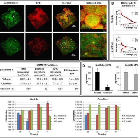 Structure Of Cranberry Derived Flavonoids For Combination Download