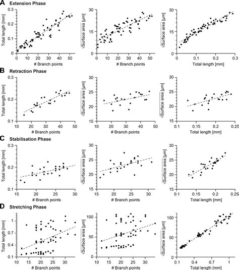 Figures And Data In Achieving Functional Neuronal Dendrite Structure Through Sequential