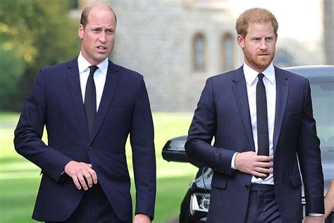 Prince Harry Wont See King Charles Or Prince William During Uk Visit