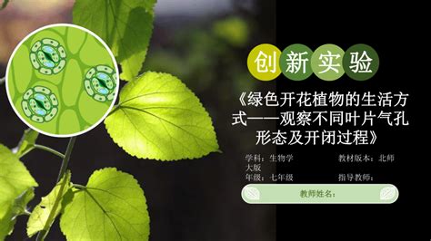 生物 绿色开花植物的生活方式 观察不同叶片气孔形态及开闭过程 实验说课课件 共26张PPT 内嵌视频1个 北师大版生物七年级上册 课件下载