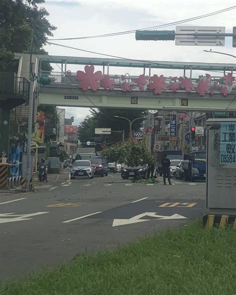 彭俊豪 中豐路南勢二段路樹倒掛在電線上，已通報相關單位處理中，請大家經過要多加小心！