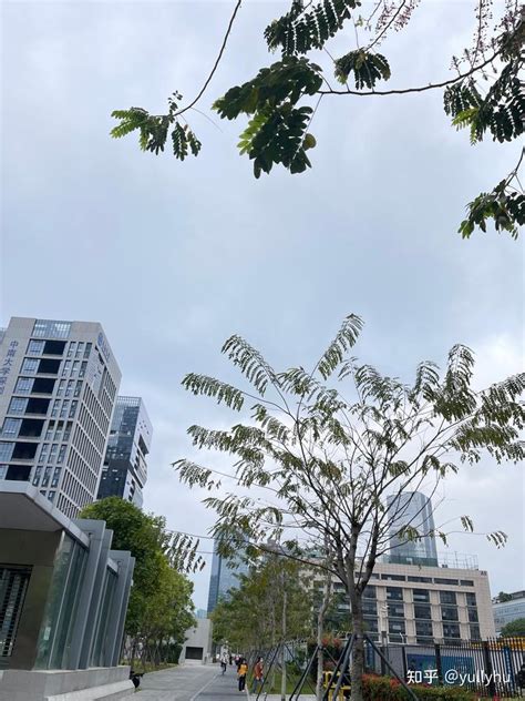 抗击白血病第433天家中少了的什么似的坚持每天更新 知乎