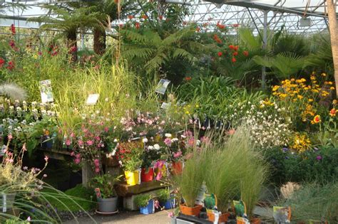 → A Proximité De La Rochelle Pépinières Rouberty à Dompierre Sur Mer