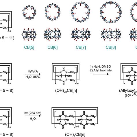 Schematic Illustration For A Molecular Structure Of Cyclodextrins