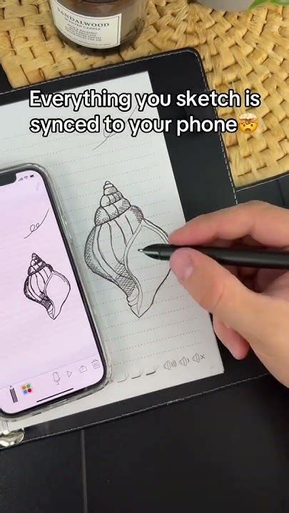 Prototype Vs Syncify Notebook 🤯 ️ Youtube