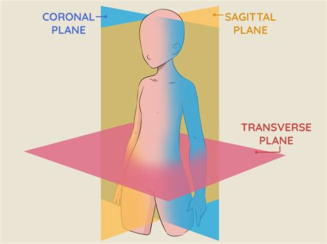 How To Read A Ct Scan 8 Steps With Pictures Wikihow