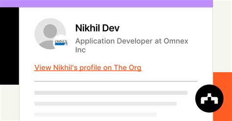 Nikhil Dev Application Developer At Omnex Inc The Org