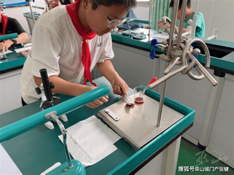 塘坊小学：提高学生实验操作技能和科学动手能力 搜狐大视野 搜狐新闻
