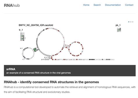 Rnahub Identify Conserved Rna Structures In The Genomes Marcin Magnus