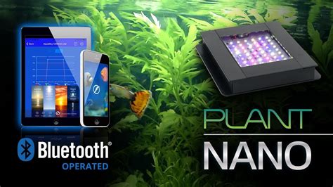 Buy Fluval NANO Plant LED From Today Best Deals On Idealo Co Uk