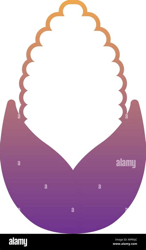 Corn Vegetable Over White Background Colorful Design Vector