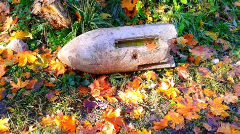 Военнослужещи от Сухопътните войски унищожиха боеприпаса в Пловдив Новини бг