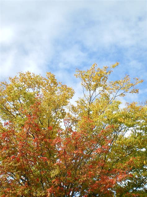 歩キ眼デス 2011年11月