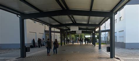 Agrupamento De Escolas De Mira Agrupamento