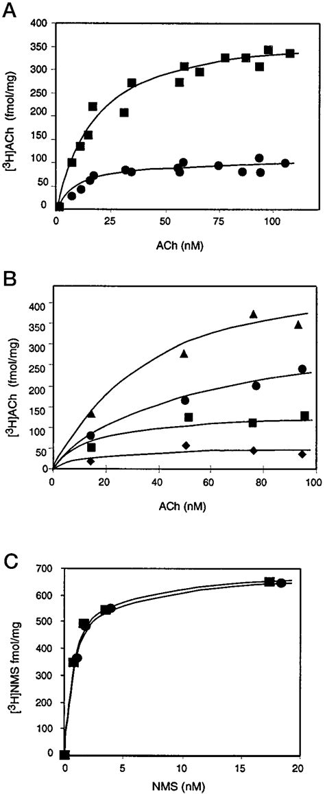 Depolarization Dependent Binding Properties Of MAChRs A Aliquots Of