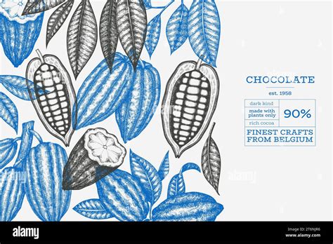 Cocoa Banner Template Chocolate Retro Cocoa Beans Background Vector