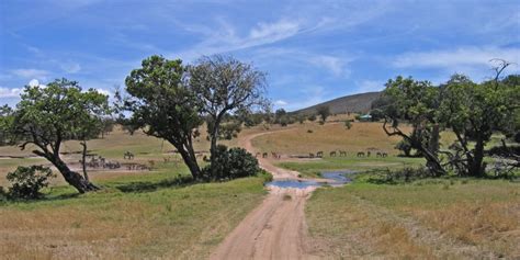 Serengeti National Park Entry Gates What Are The Names And Entry Or