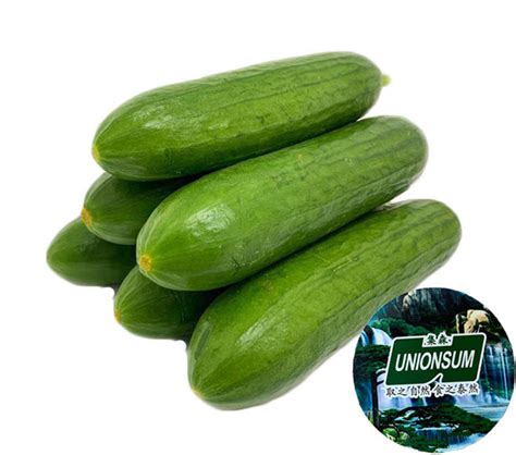 集森 溫室青瓜仔 1斤約600 700克 Hktvmall 香港最大網購平台