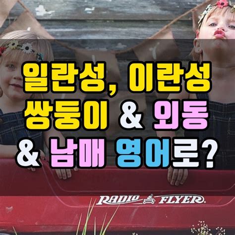 S1e2 외동 남매 형제 자매 일란성 이란성 쌍둥이 영어로 발음 미드 프렌즈 영어 네이버 블로그