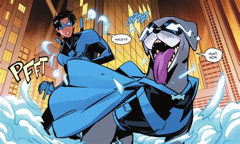 With Great “paw”er Bitewing Has Our Hearts 💙 Nightwing 98