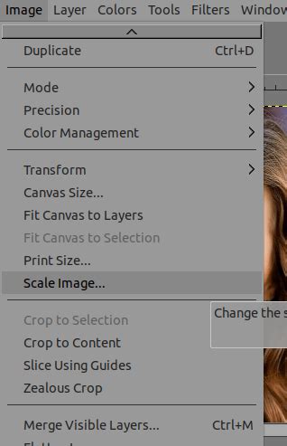 How To Use Gimp Javatpoint