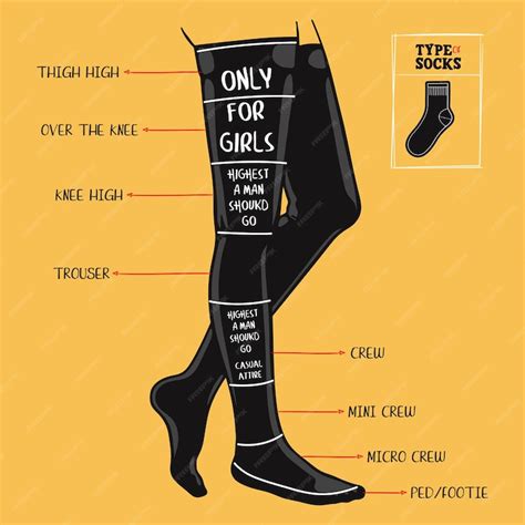Premium Vector A Visual Guide To Different Types Of Socks Hand Drawn