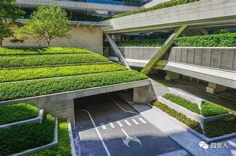 地下车库出入口 绿化