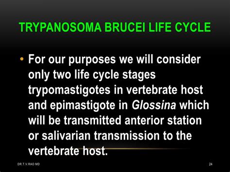 Ppt Trypanosoma Brucei Powerpoint Presentation Free Download Id