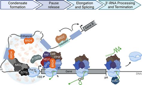 Wires Rna Vol 14 No 1