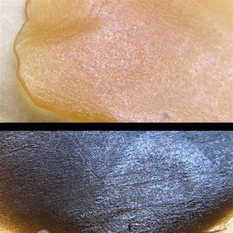 What Is Nug Run And Trim Run Shatter Budhub Canada