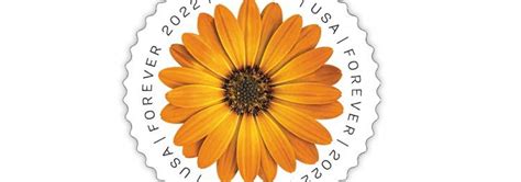 New U S Global Forever Stamp Features African Daisy
