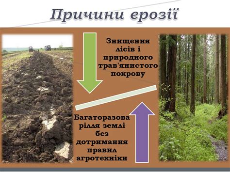 Забруднення ґрунтів презентация онлайн