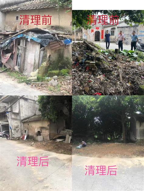 丰顺县人民政府门户网站 乡镇信息 汤坑镇：加强人居环境整治 建设美丽宜居家园