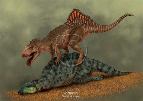 A Concavenator Kills A Young Iguanodon Dinosaur Stocktrek Images