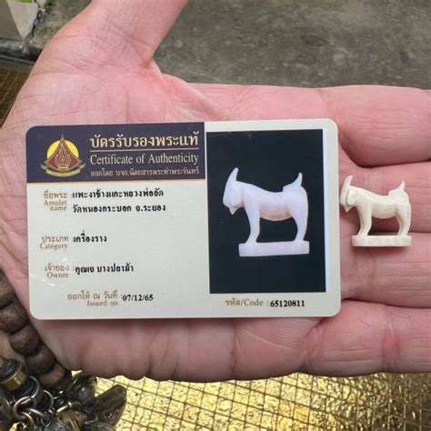 แพะเศรษฐีหลวงพ่อลัด วัดหนองกะบอก มาพร้อมบัตรรับรองจากสมาคมนิตยสารท่าพระจันทร์ Shopee Thailand