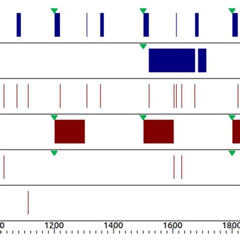 Task Execution Timeline During One Hyperperiod 3000 Ms Download