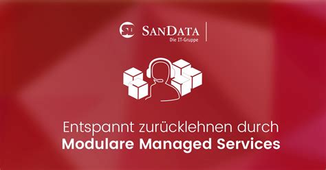 Marco Striegl On Linkedin Infografik Zum Thema Modulare Managed Services
