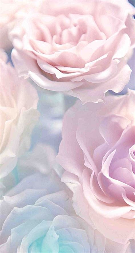 무료 로맨틱 청신하다 꽃 배경 이미지 로맨틱 신선한 꽃 배경 사진 배경 Png 및 벡터 Iphone Background Pretty Wallpapers