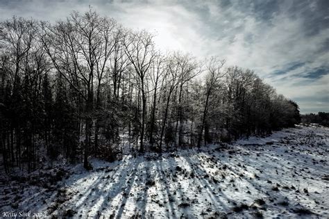 Freeport Conservation Trust We Are Overjoyed To Continue Are Guided Walks This Fall In