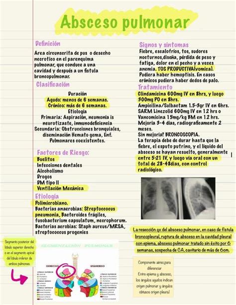 Absceso Pulmonar Gaby Ibarra UDocz