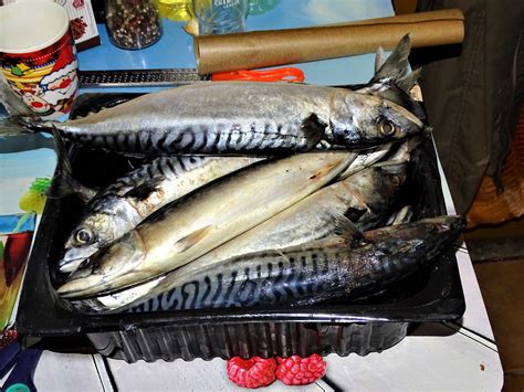 Reteta Macrou In Sos Rosu Cu Masline