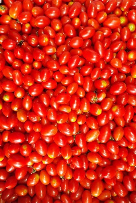 A Grade Red Organic Cherry Tomato 10 Kg Packaging Type Carton At Rs