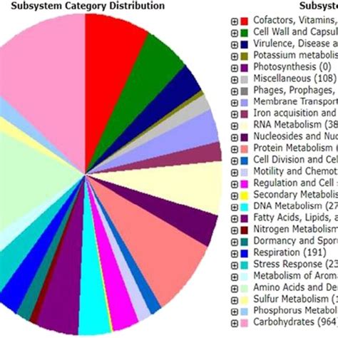 The Circular Genome Map Of Enterobacter Sp S 16 From The Outer Circle