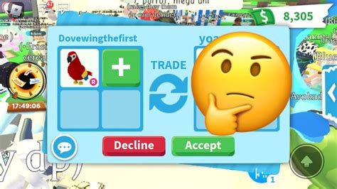 Quick Should I Do This Offer For My R Parrot W F L Adoptme