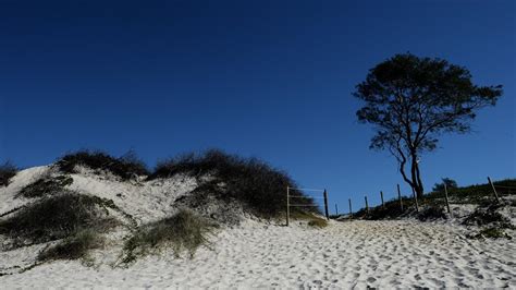 Shayne Sluka In Court For Avo Breach After Intimate Act On Tyagarah