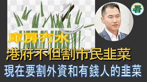 許銳宇庫房冇水港府不但割市民韭菜現在要割外資和有錢人的韭菜陳茂波或收資產增值稅 YouTube