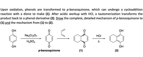 Solved Upon Oxidation Phenols Are Transformed To