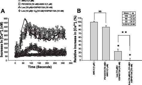 Figure 2 From Effect Of Caveolin 1 Scaffolding Peptide And 17beta
