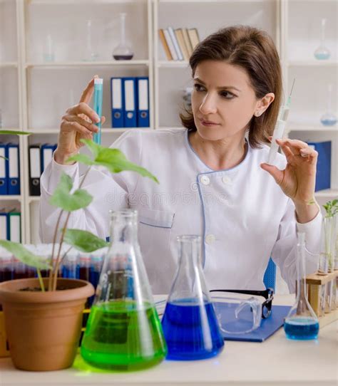Old Female Biotechnology Chemist Working In The Lab Stock Image Image